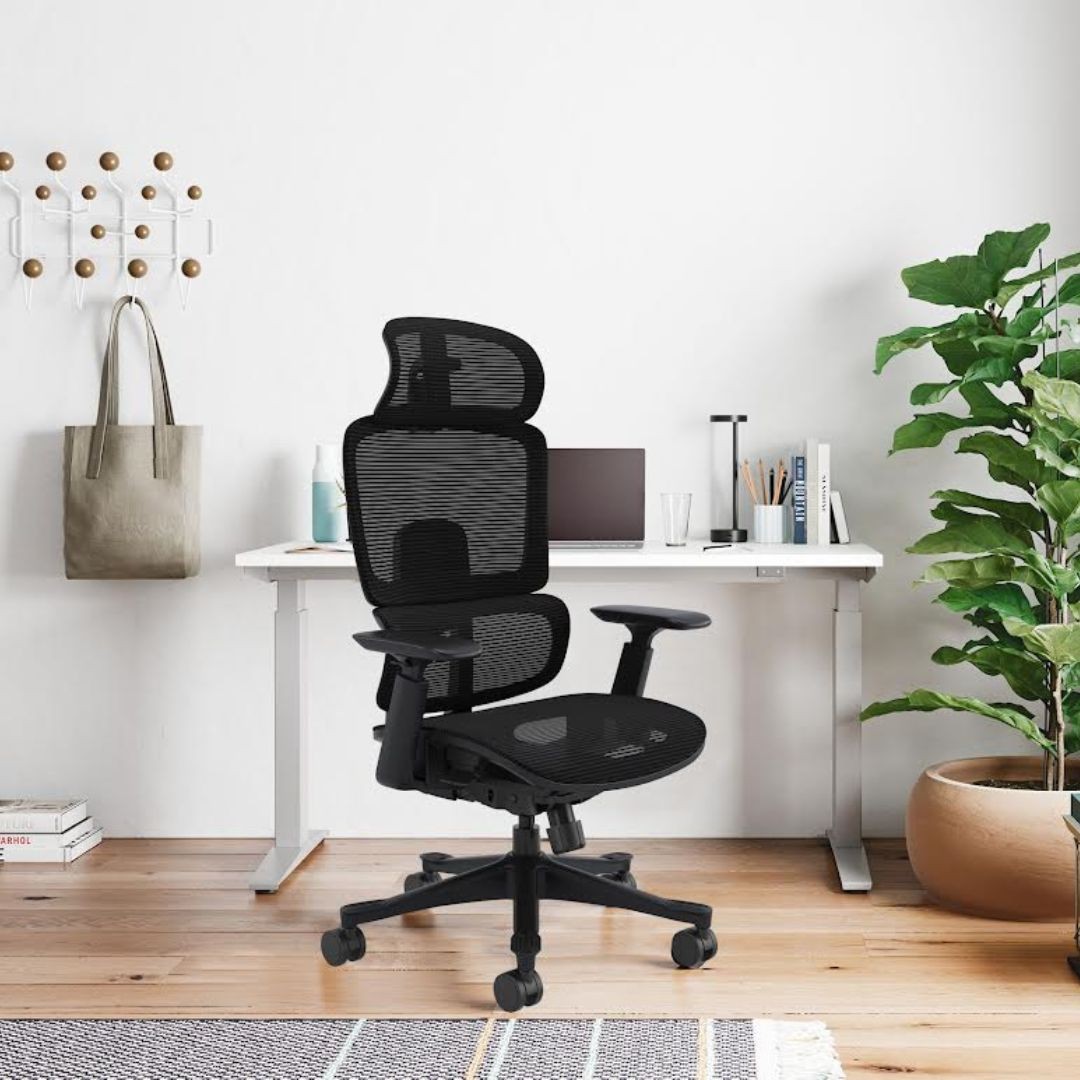 Silla ErgoDream, ergodream