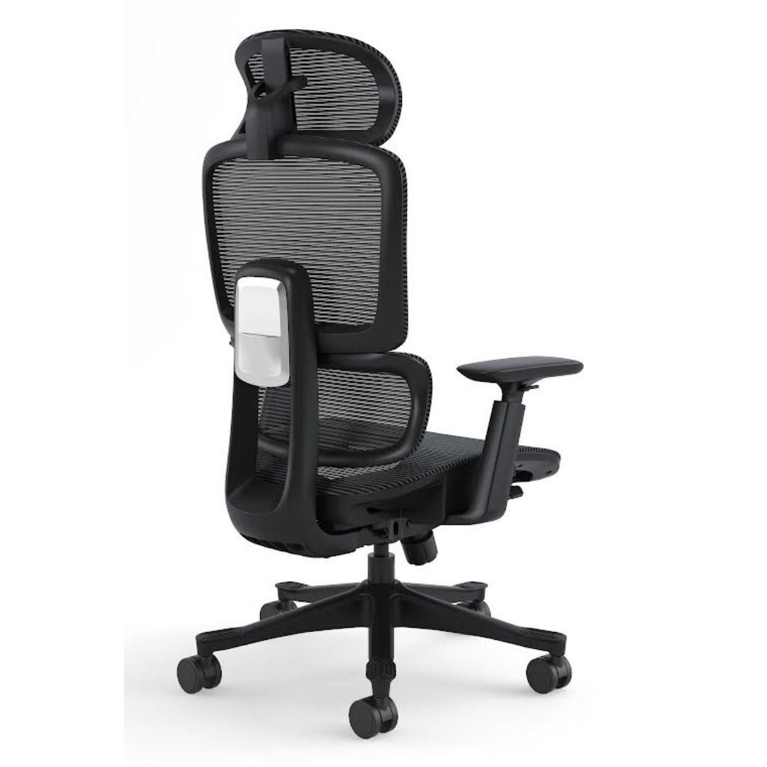 Silla ErgoDream, ergodream